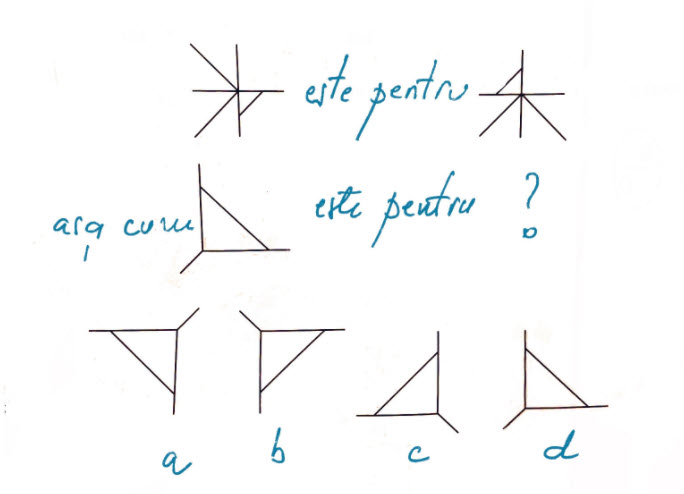 Test de Observare - Teorie si Practica in Resurse Umane