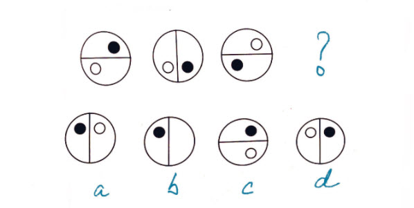 Test de Observare - Teorie si Practica in Resurse Umane