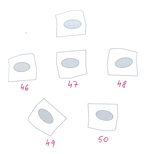 Test: Vedere Spatiala - Teorie si Practica in Resurse Umane
