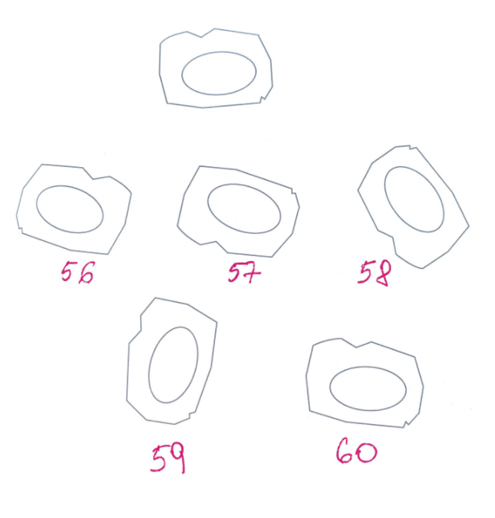 Test: Vedere Spatiala - Teorie si Practica in Resurse Umane