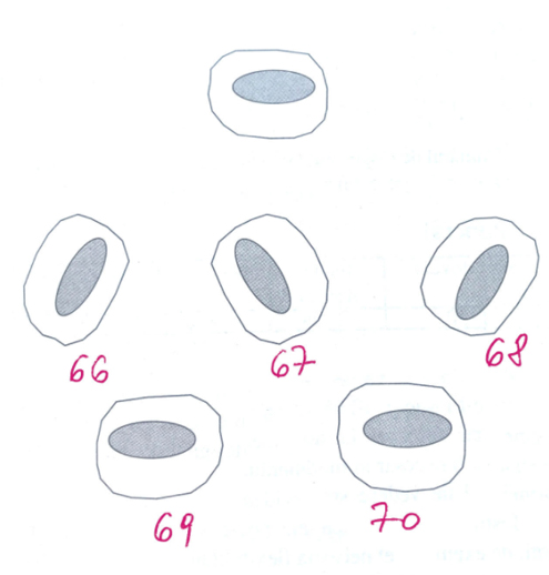 Test: Vedere Spatiala - Teorie si Practica in Resurse Umane